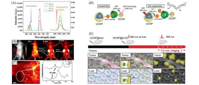【NIR-II近红外二区成像】近红外二区小动物活体成像在肿瘤诊疗中的应用综述 - 知乎