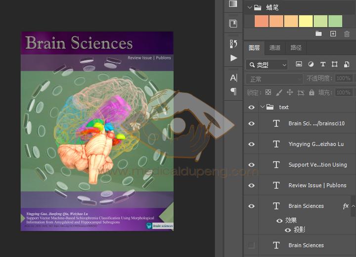 近日的期刊封面设计《Brain Sciences》Review - 知乎