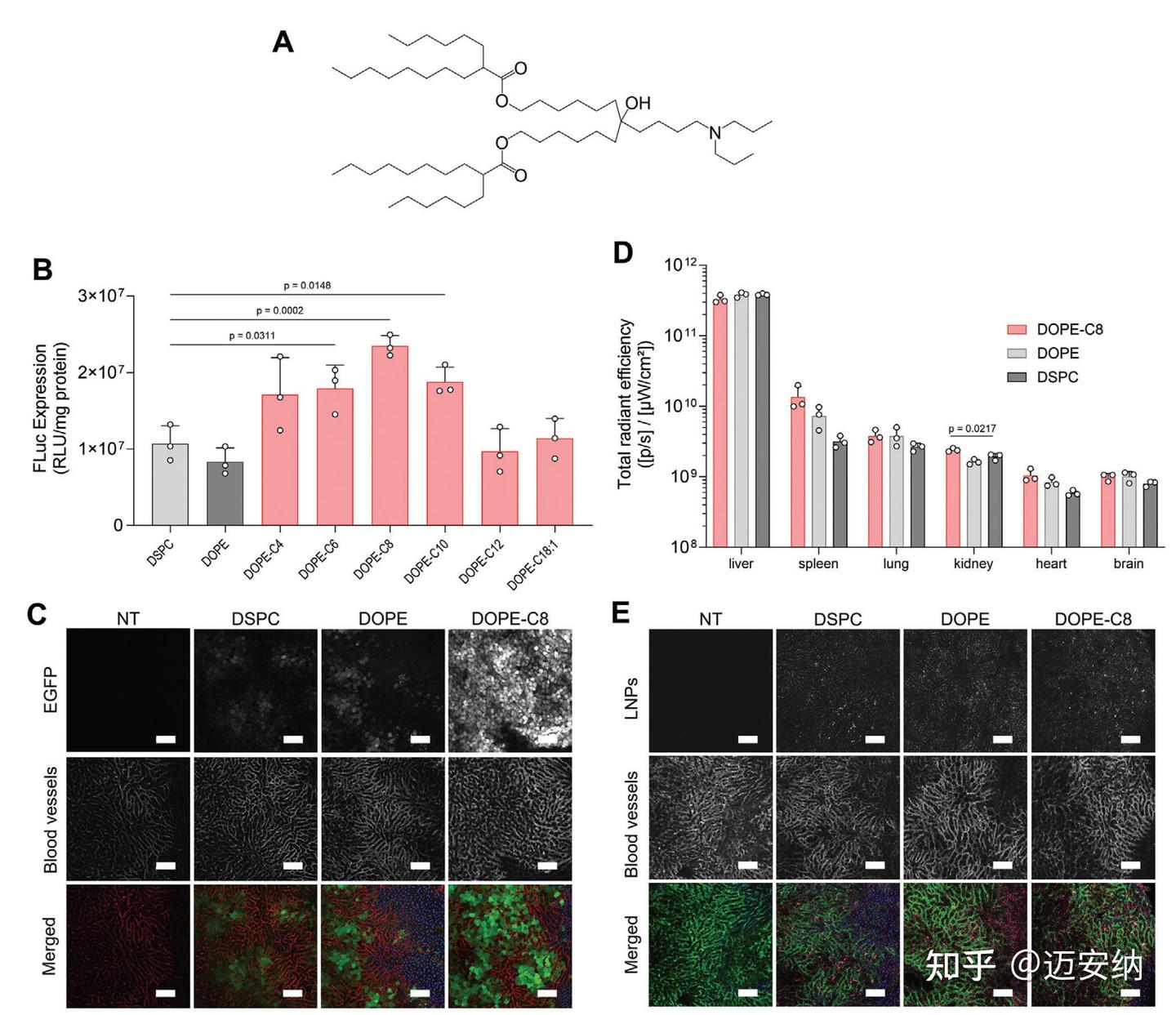 脂质辅料新研究-新型辅助磷脂（DOPE-X）显著提高mRNA-LNP的体内递送 - 知乎