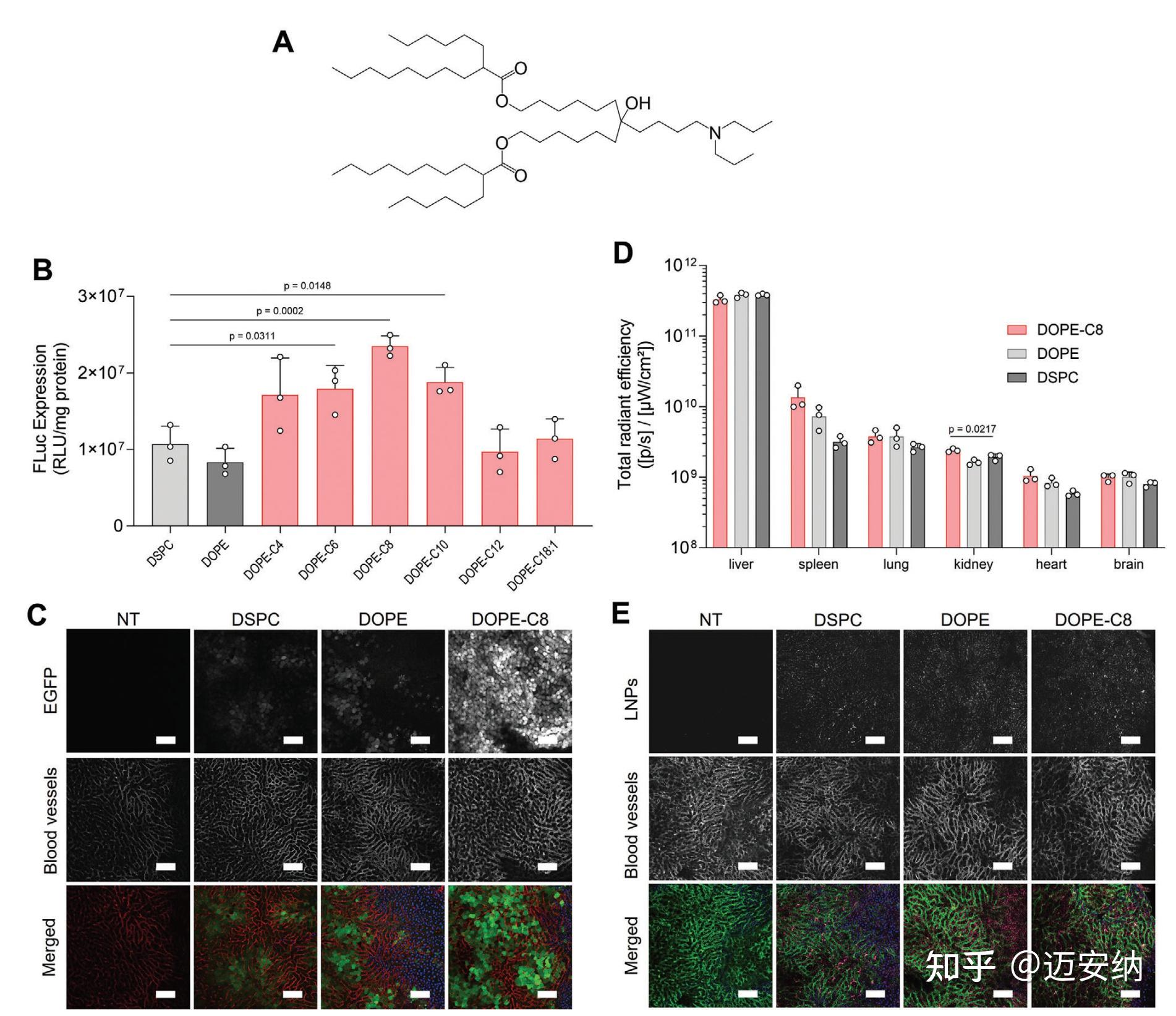 脂质辅料新研究-新型辅助磷脂（DOPE-X）显著提高mRNA-LNP的体内递送 - 知乎
