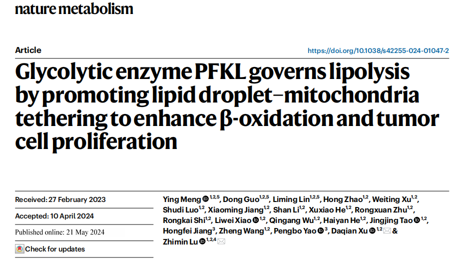 IF=18.9！浙大医学院副院长吕志民、许大千教授团队揭示调控脂解与线粒体β-氧化的代谢枢纽-糖酵解酶PFKL的神奇作用 - 知乎