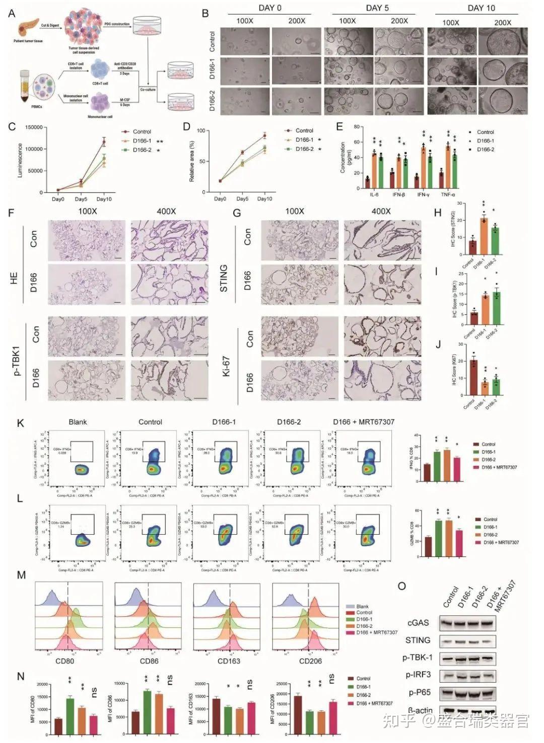 瑞金医院沈柏用团队：新型 STING 激动剂重塑胰腺癌免疫微环境 - 知乎