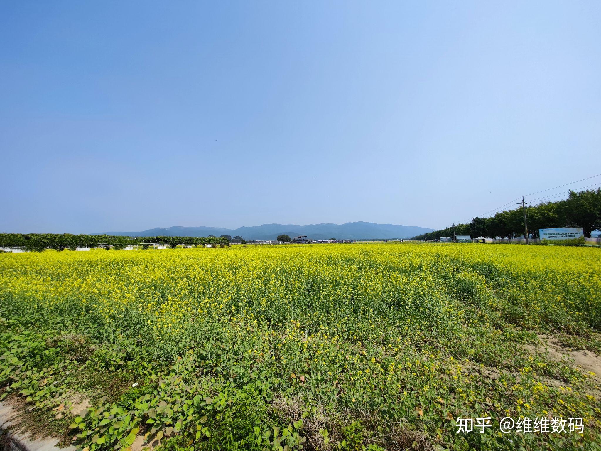 多图慎入！小米11ultra原生相机VS谷歌相机 - 知乎