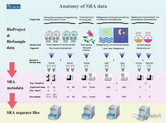 如何上传高通量数据至SRA - 知乎