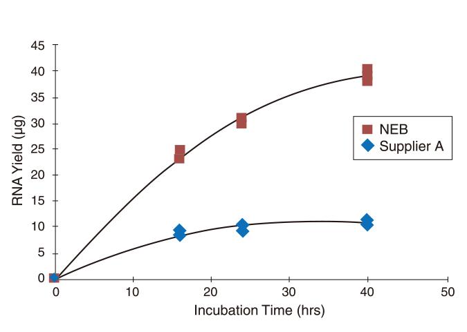 NEB 提供 RNA 合成完整解决方案 - 知乎