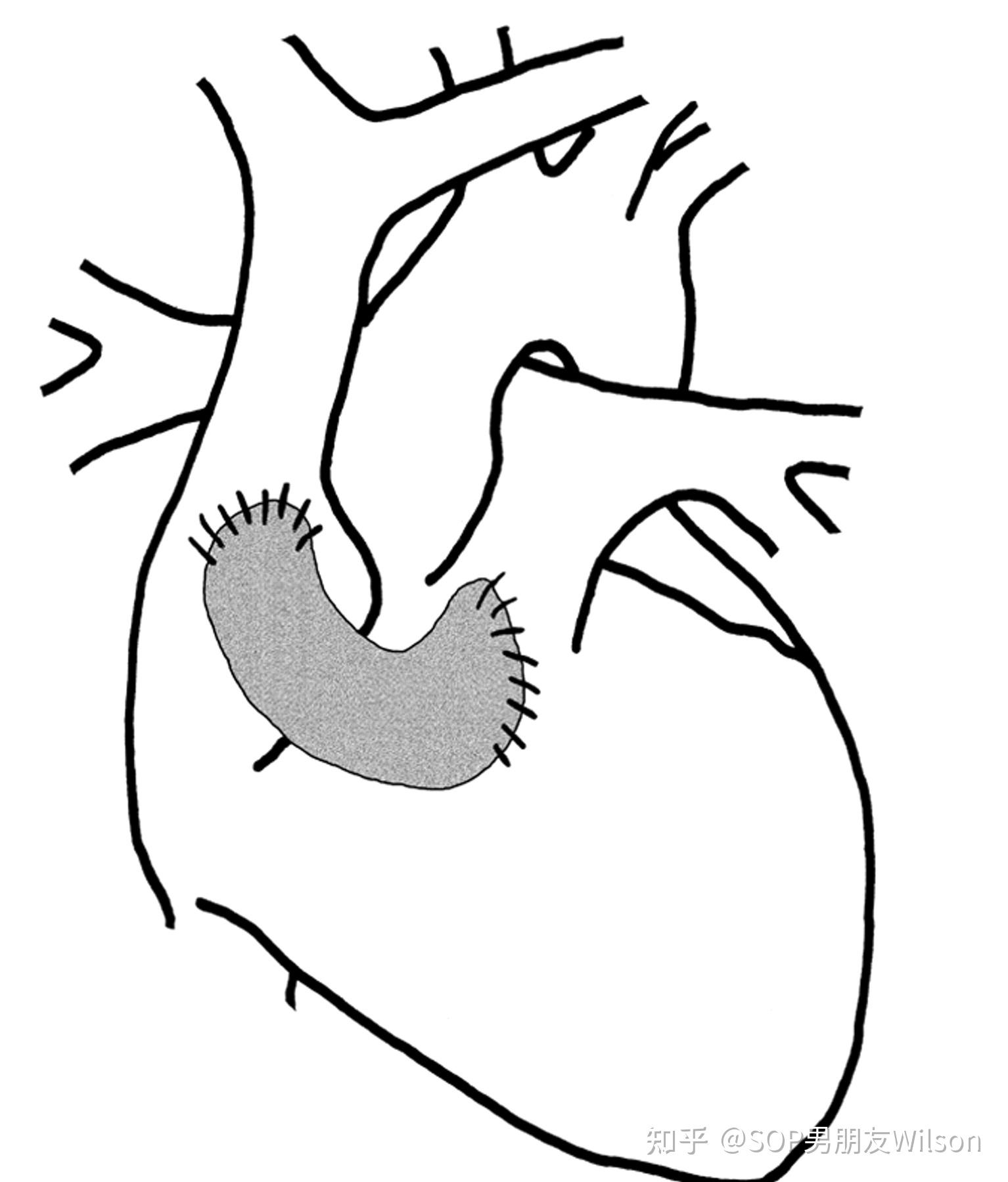 有什么你知道的冷知识吗？ - 知乎