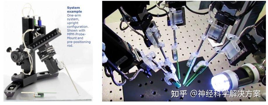 Cambridge NeuroTech电极硅神经探针 - 知乎