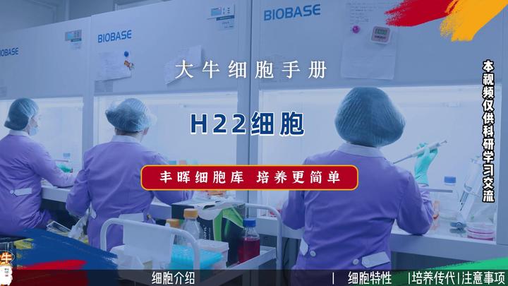 H22细胞培养，小鼠腹水肝癌细胞培养攻略-丰晖生物 - 知乎