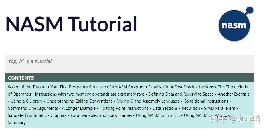 NASM Tutorial - 知乎