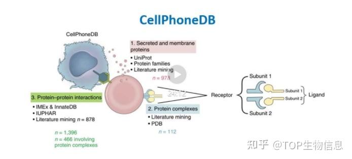 CellPhoneDB三个版本（V2、V3、V4）之间的对比 - 知乎