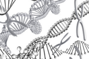 Alexa Fluor 488标记链霉亲和素，AF488-SA，Alexa Fluor 488-SA - 知乎