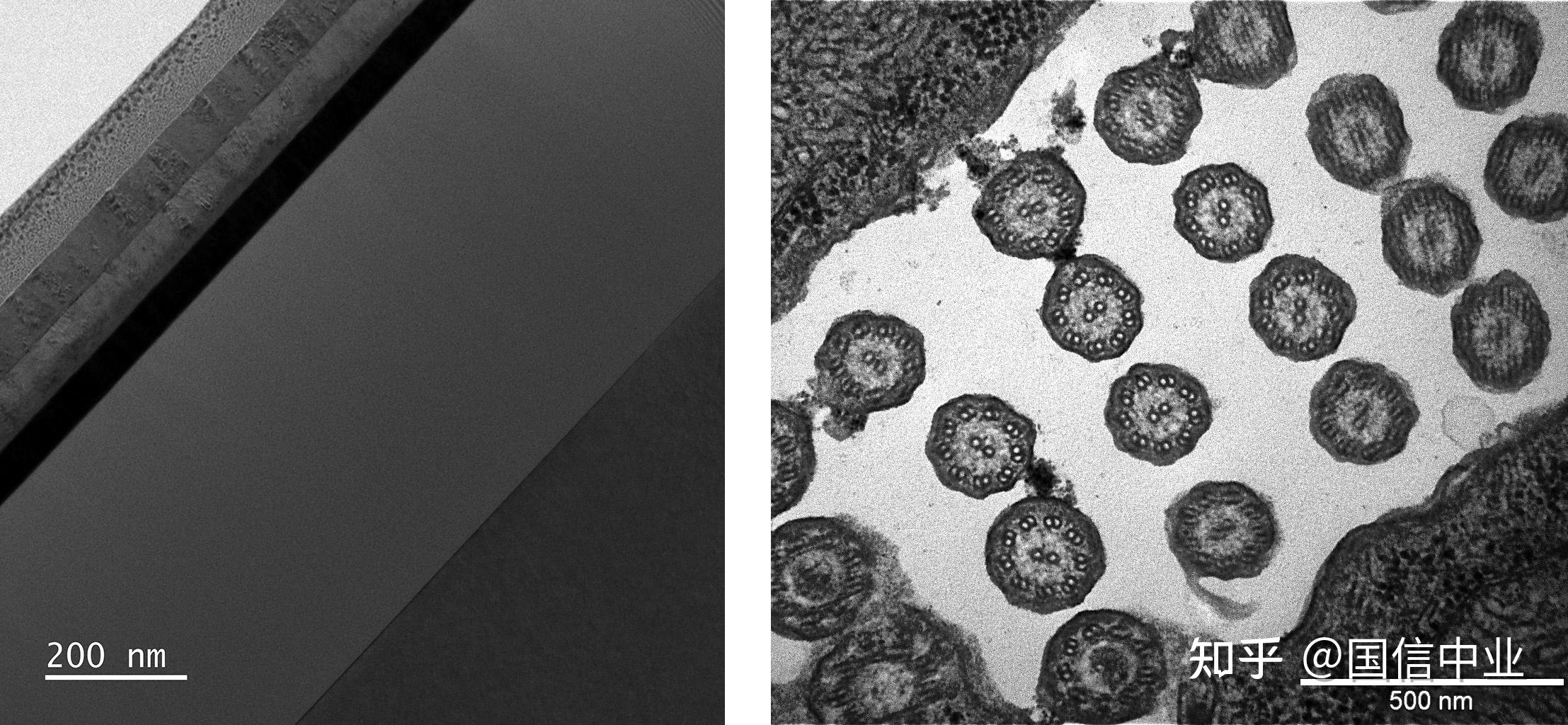 技术解读专栏|透射电子显微镜（TEM） - 知乎