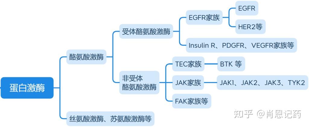 记住所有FDA生物药 | 3款EGFR生物制剂 | 西妥昔单抗、帕尼单抗、Necitumumab | 头颈部、结直肠癌等 - 知乎