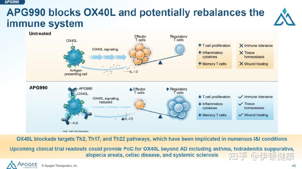 特应性皮炎生物制剂迎来新革命！OX40单抗3-6个月用药一次！ - 知乎