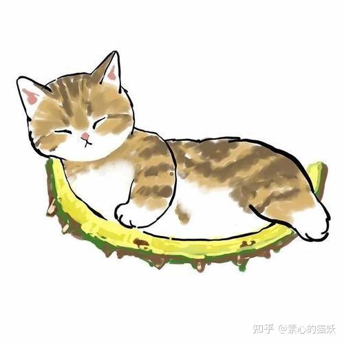 学习python操作excel 实战篇 知乎 5274