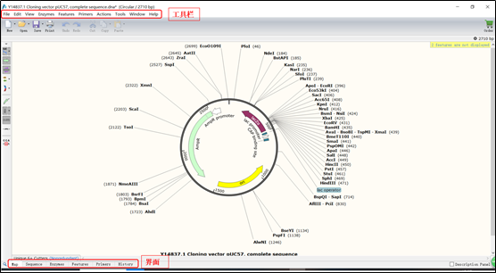 SnapGene教程—常用生物学软件的安装与应用（一） - 知乎