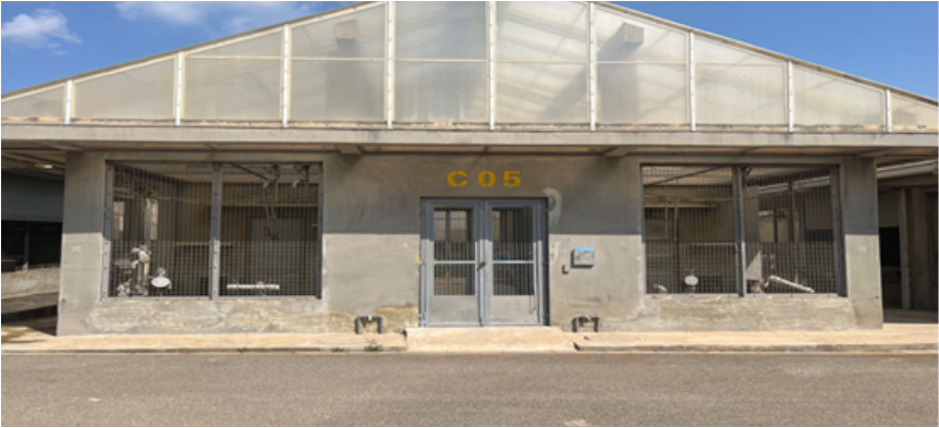 NHP ePPND试验的挑战及应对策略 - 知乎