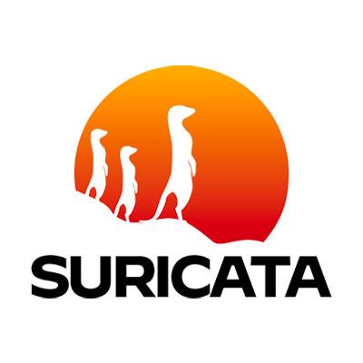 suricata源码剖析（3）——基础协议解析 - 知乎