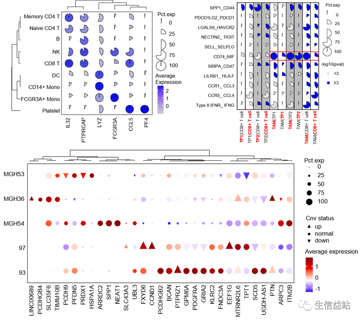 Seurat::Dotplot 美化—单细胞绘图美化工具推荐（三） - 知乎