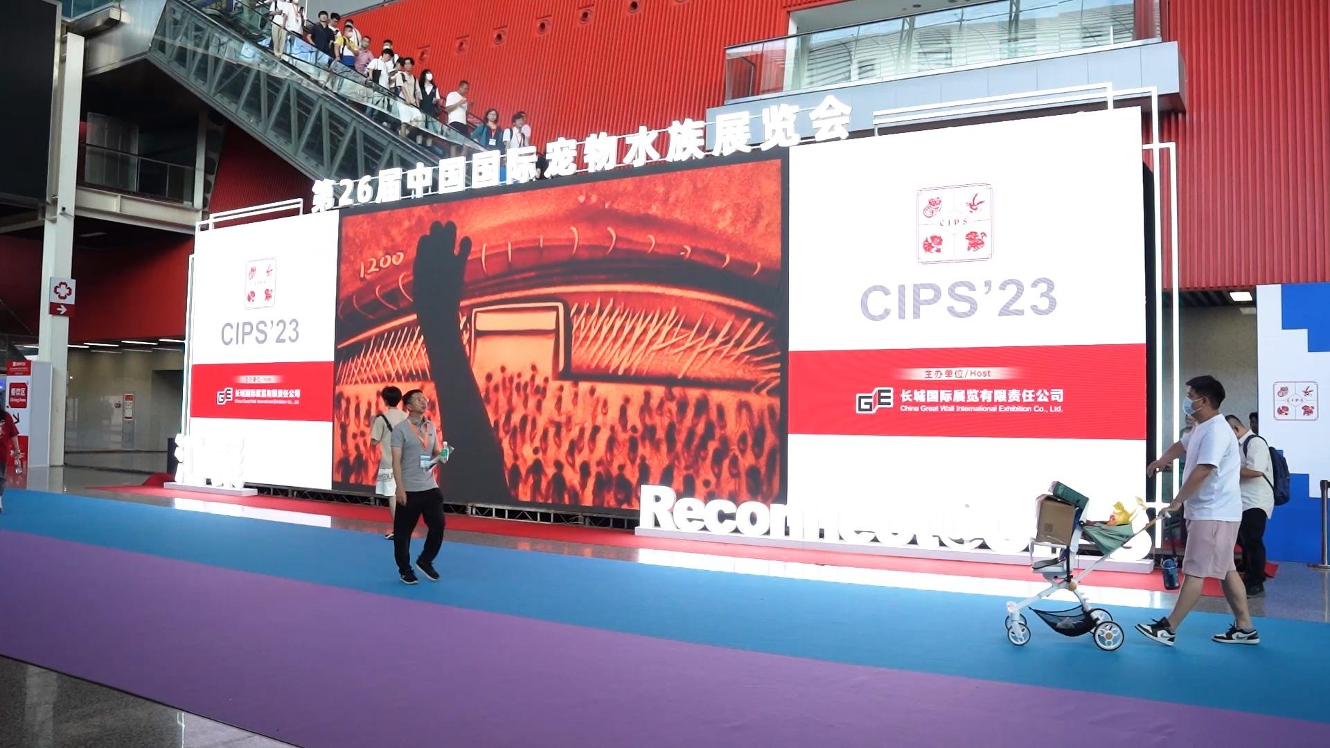 展迅动态︱REPTIZOO携新品闪耀CIPS 2023 - 知乎