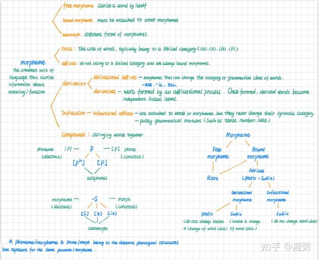 Chapter 3 Morphology形态学 - 知乎
