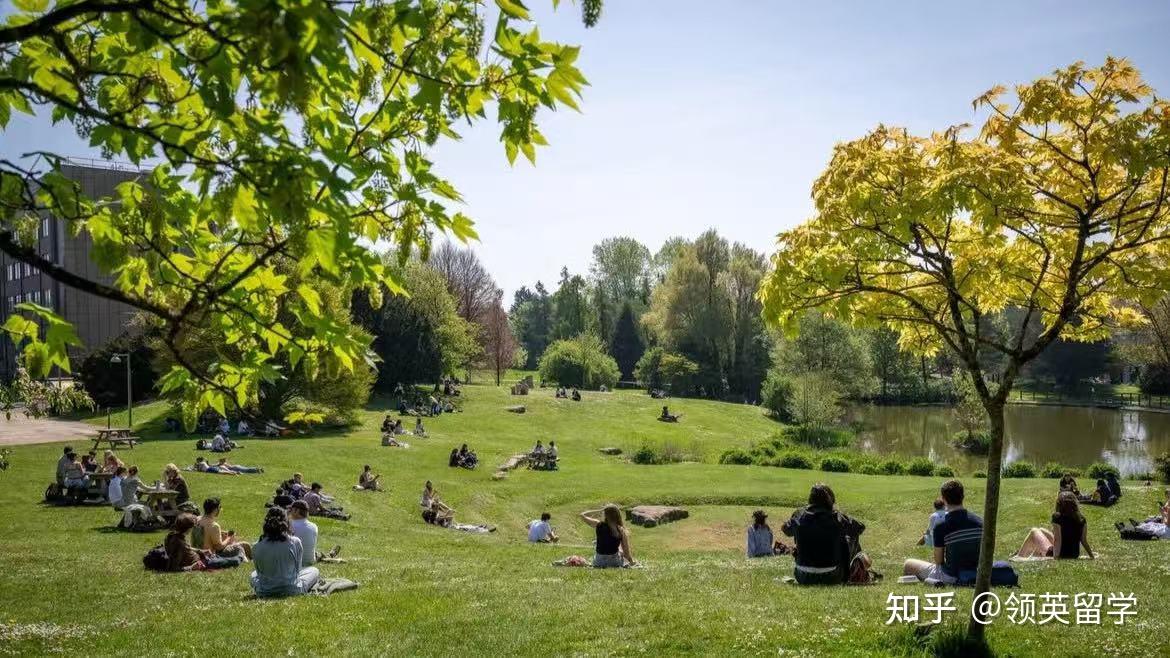 2026最佳英国大学排名重磅发布！你的梦校排第几？ - 知乎