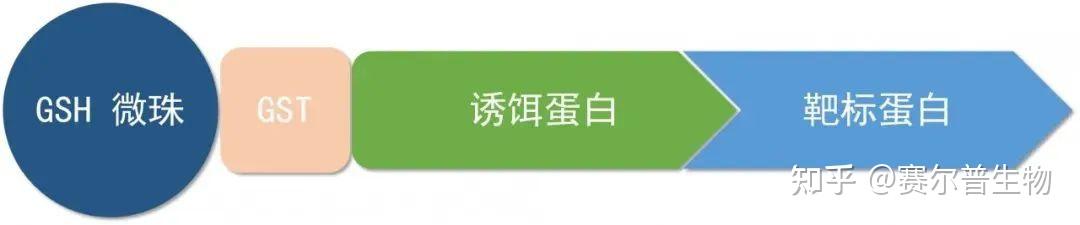 Co-IP、GST pull-down如何区分？实验结果图该如何解读？ - 知乎