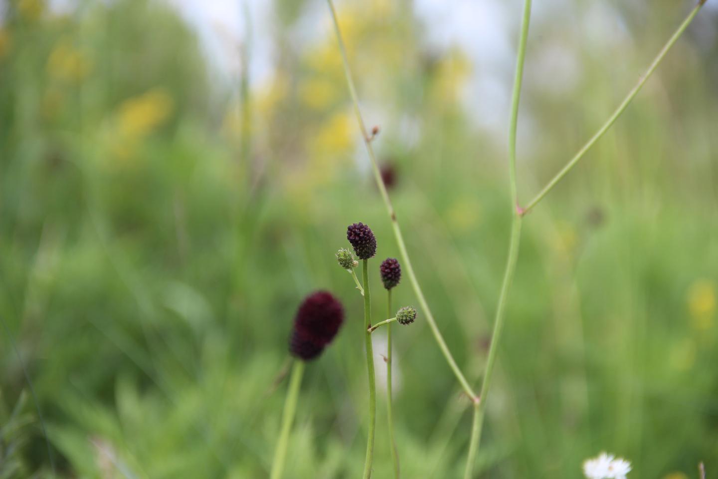 Excel-VBA基础（3）：VBE编辑窗口介绍 - 知乎