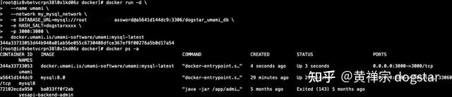 开源项目Umami网站统计MySQL8.0版本Docker+Linux安装部署教程 - 知乎