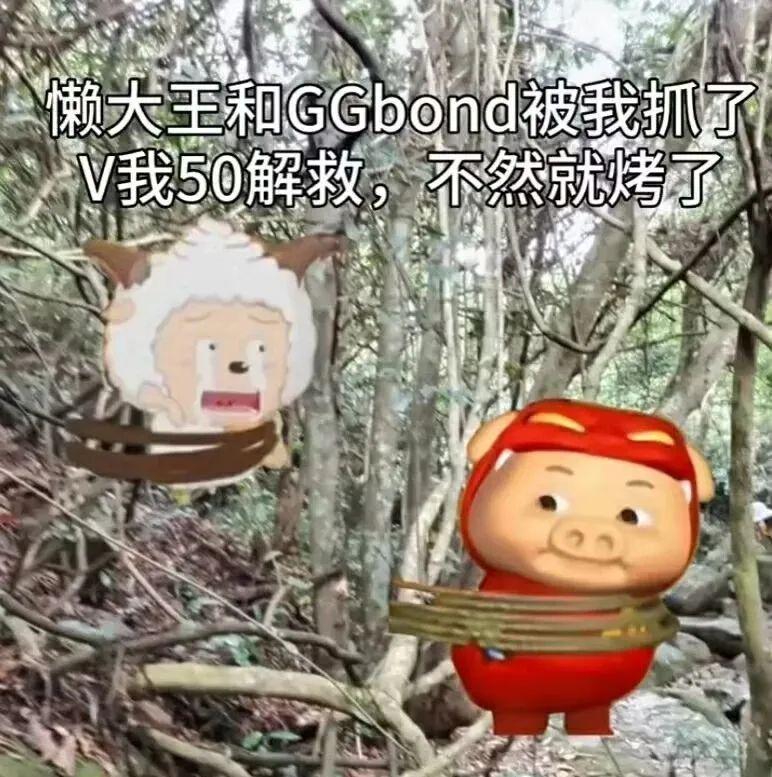 热门猪猪侠：美丽的小姐我叫Bond,GGBond表情包 - 知乎