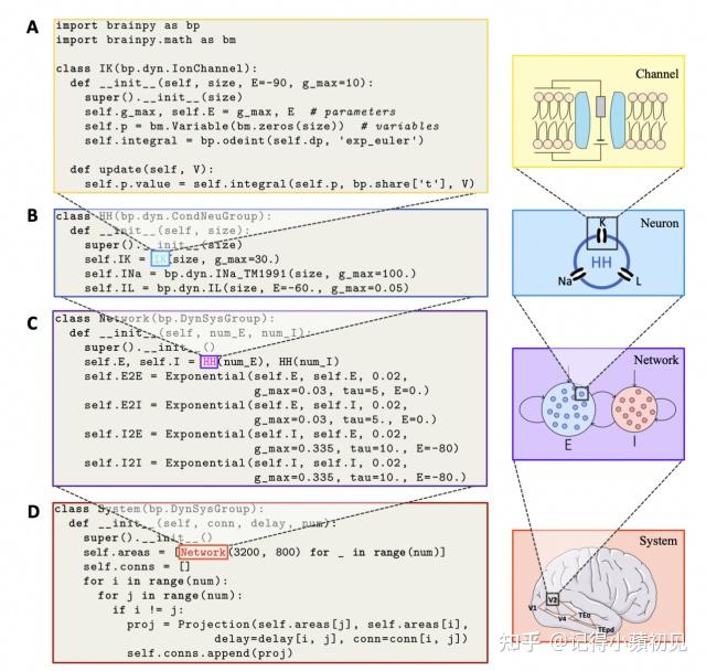 细说我用过的三款计算神经科学软件：Brian2、BrainPy和NEURON - 知乎