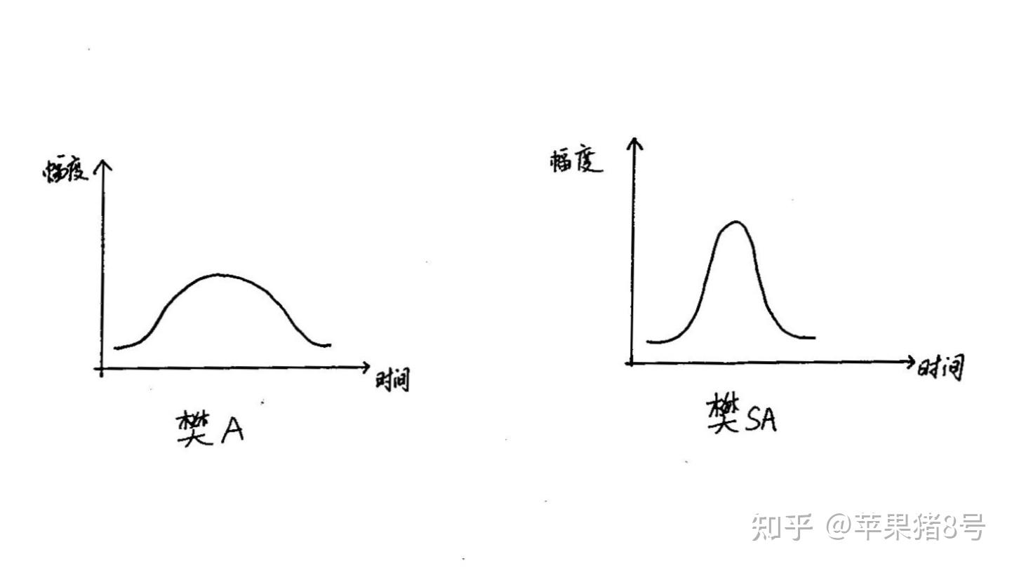 想选择合适自己的底板，三选一，樊振东salc，szlc及张继科szlc? - 知乎