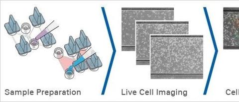 ibidi|开始实验前需要知道的问题之可视化的Transwell细胞趋化实验 - 知乎