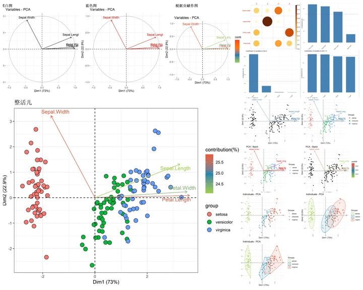 [R语言笔记] 005 PCA分析 - 知乎