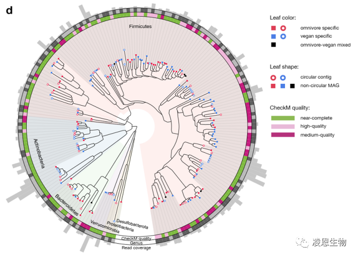 Hifiasm-meta | 你没看错！基于宏基因组的完成图！！ - 知乎