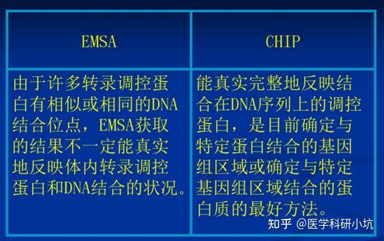 能讲解一下ChIP qPCR实验的详细步骤吗? - 知乎