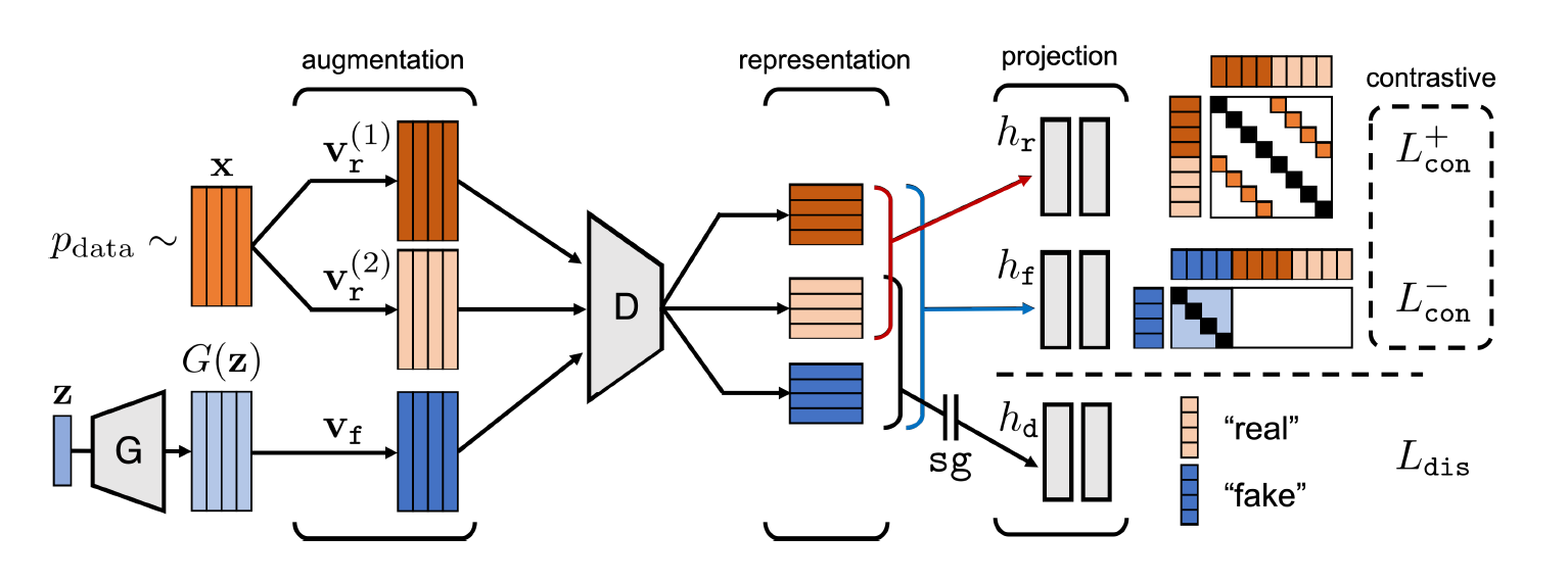 ContraD论文部分翻译与解读（Training GANs with Stronger Augmentations via ...