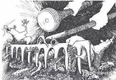 推动美国社会进步的“扒粪运动” - 知乎