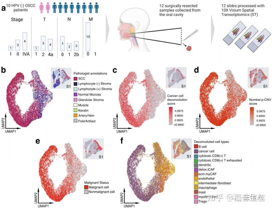 单细胞空间转录组：在肿瘤的边缘疯狂试探 - 知乎