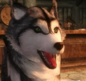 husky安装( git钩子方法 ) - 知乎