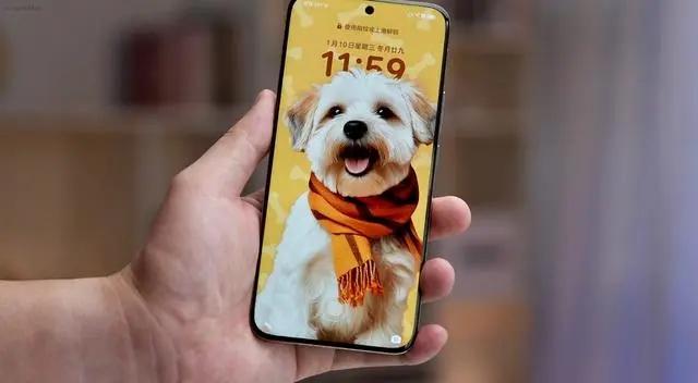 在618，入手顶配版荣耀Magic6，仅需3792元 - 知乎