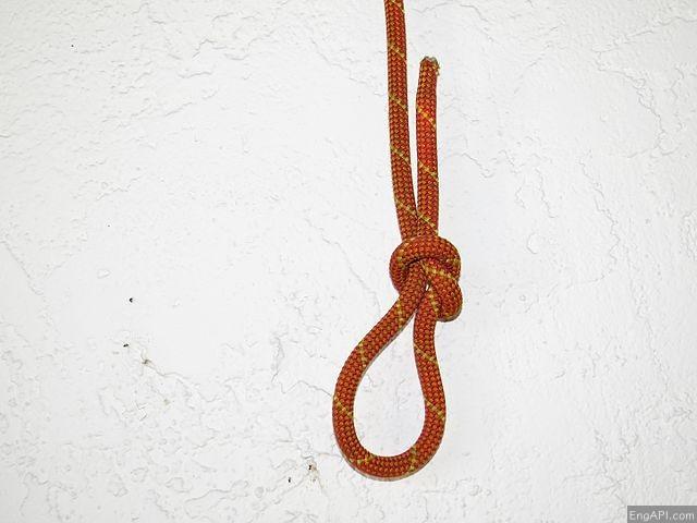 单词详解 | noose - 知乎