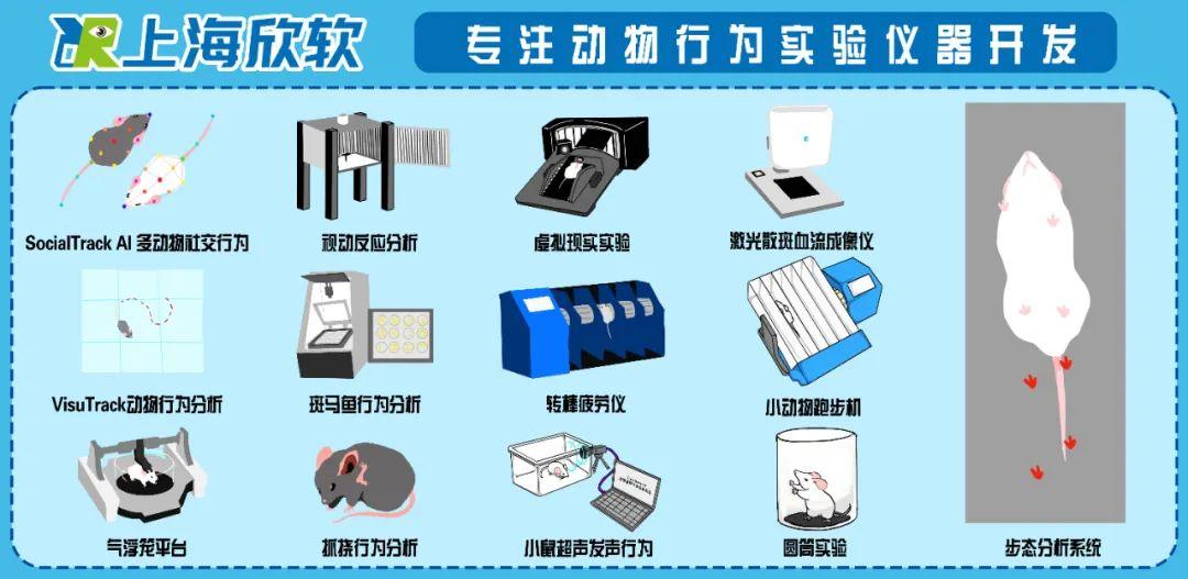 Nature：为什么越难得到越想要？斯坦福团队揭示伏隔核胆碱-多巴胺互作驱动努力行为的神经机制 - 知乎