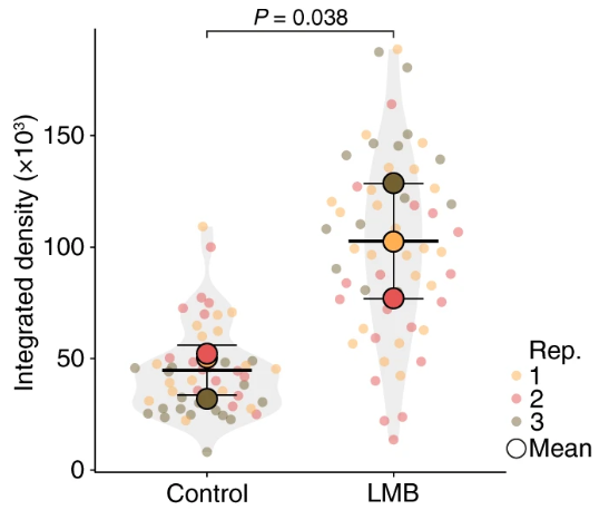 R语言ggplot2学习 NC文章 的 小提琴图+蜂群点图 并添加 误差棒、均值点 等 - 知乎