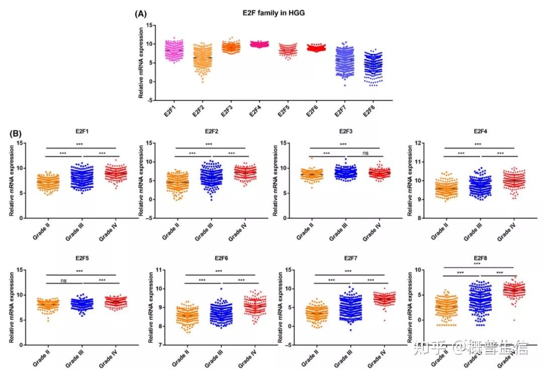 癌症中的E2F转录因子家族 - 知乎