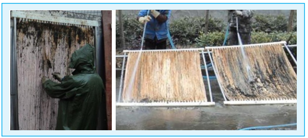 最新干货分享~mbr膜运行与维护重点讲解 - 知乎