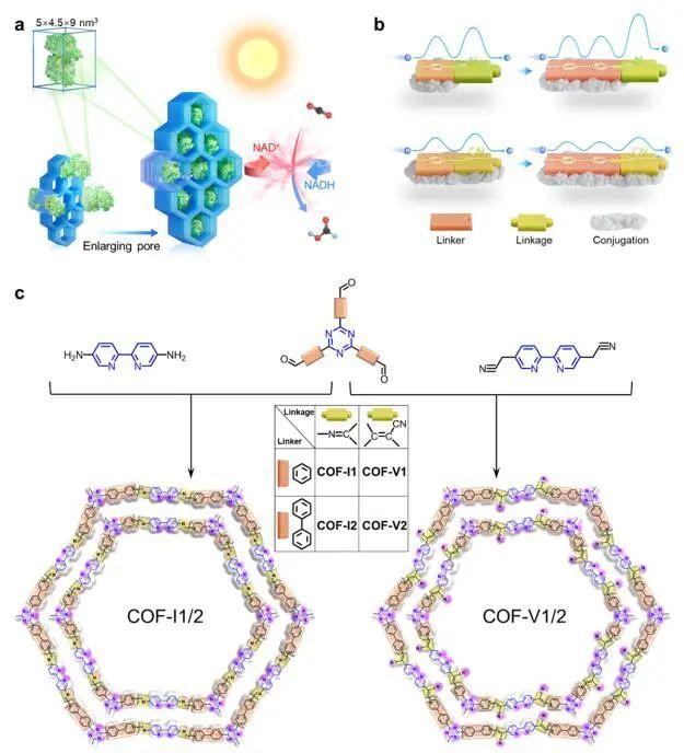 J. Am. Chem. Soc.：COF基人工光酶体系助力CO2还原 - 知乎
