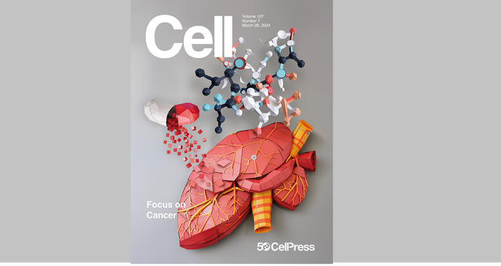 【Cell封面】从基础研究，药物发现到临床治疗的转化医学典型案例---MMK4小分子抑制剂促进肝再生，治疗肝衰竭 - 知乎