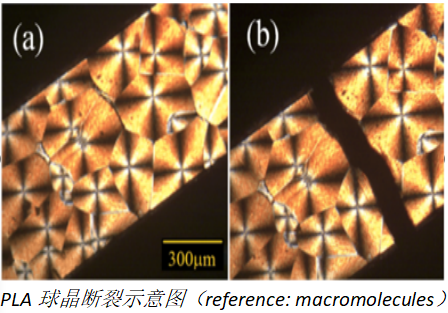 普立思最新突破！快速结晶的PLA材料 - 知乎
