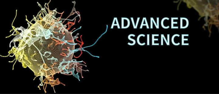Adv Sci | 赵英明/黄河及合作者发现组蛋白全新修饰—赖氨酸乙酰乙酰化 - 知乎